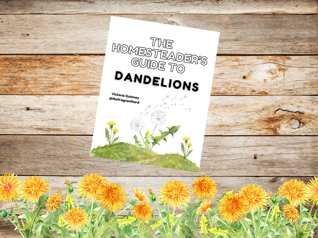 Dandelion Unit Study Dandelion Mini Unit Study Homeschool Nature Study Anatomy Life Cycle ...