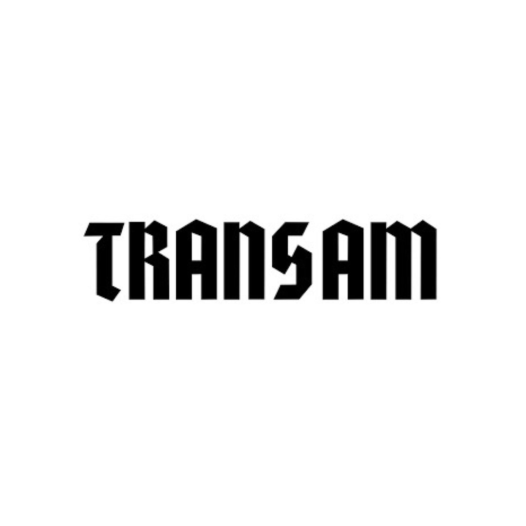 Custom Trans Am Lettering Vinyl Decal - Etsy