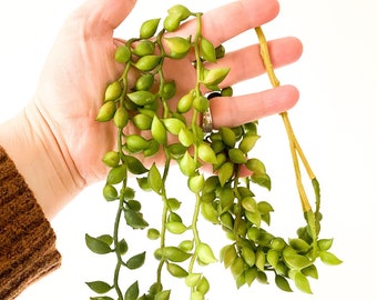 Artificial String of Pearl in Frosted Green Faux String of Pearls ...