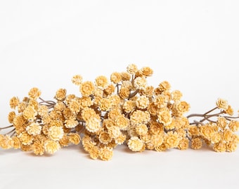 Yellow filler flower | Etsy