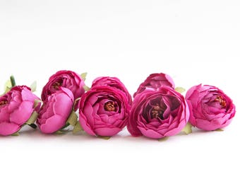 Magenta Ranunculus - Etsy