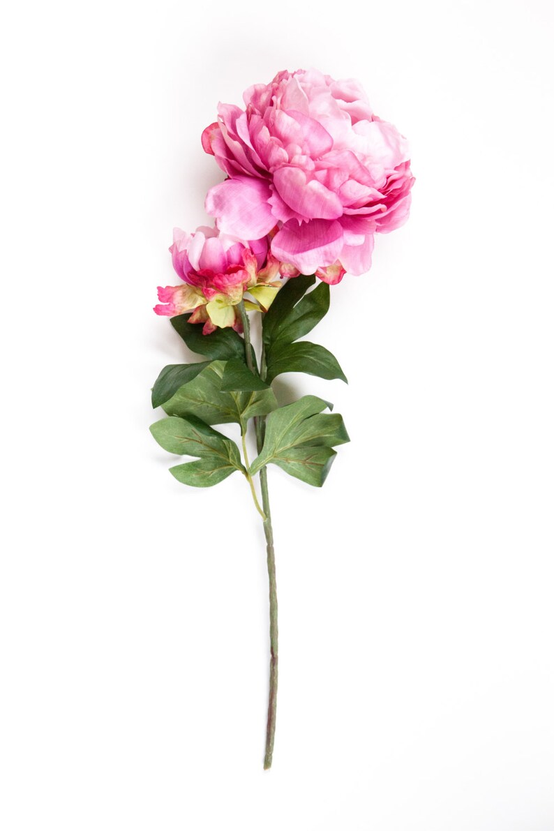 Peony Bombshell in Two Tone Pink 7 Inches Silk Flowers | Etsy