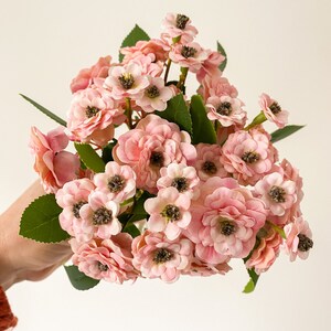 Primroses One Bouquet Bunch of 36 Primrose Flowers on 6 Stems ...