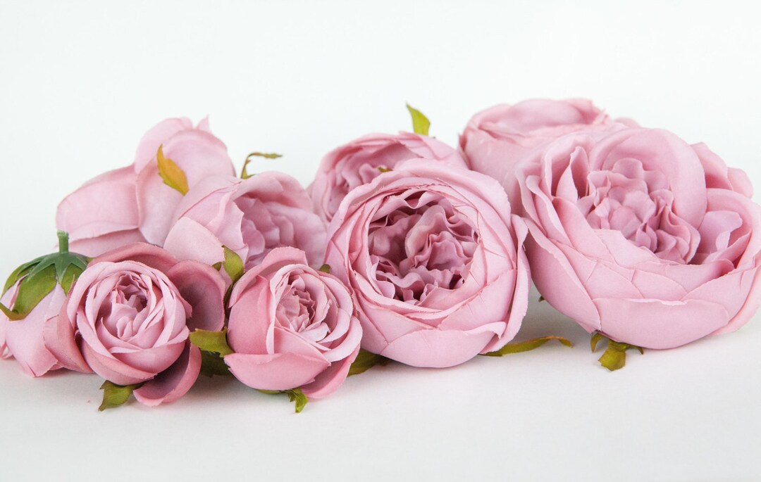 Set of 9 Small to Large Cabbage Roses in Antique Shabby Chic Pink read ...