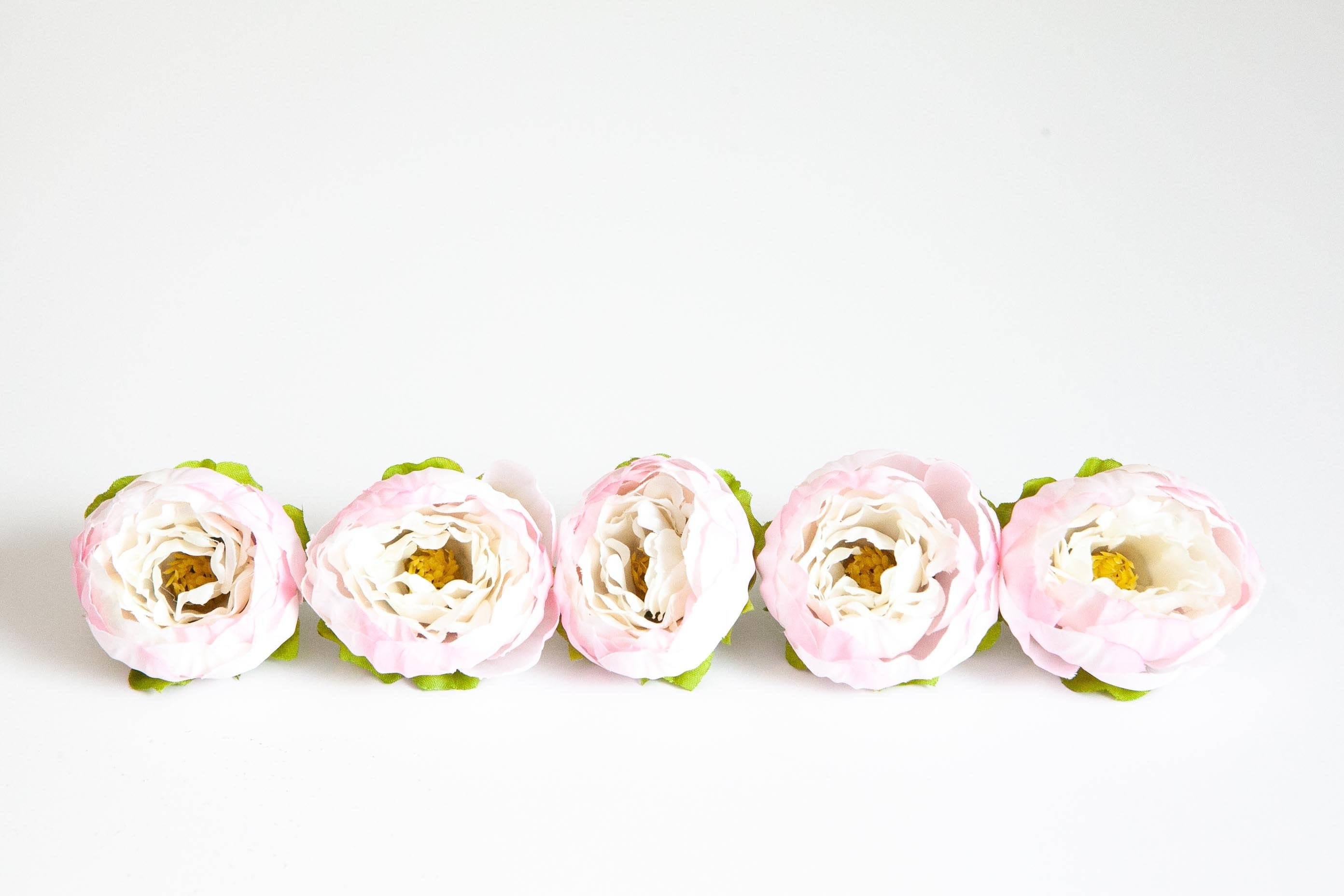 5 Small Mini Peonies in Pink and White Small Peonies - Etsy