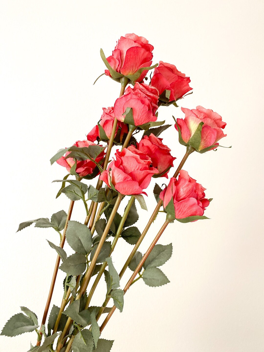9 Long Stemmed Roses in Vintage Raspberry Bright Coral Pink - Etsy
