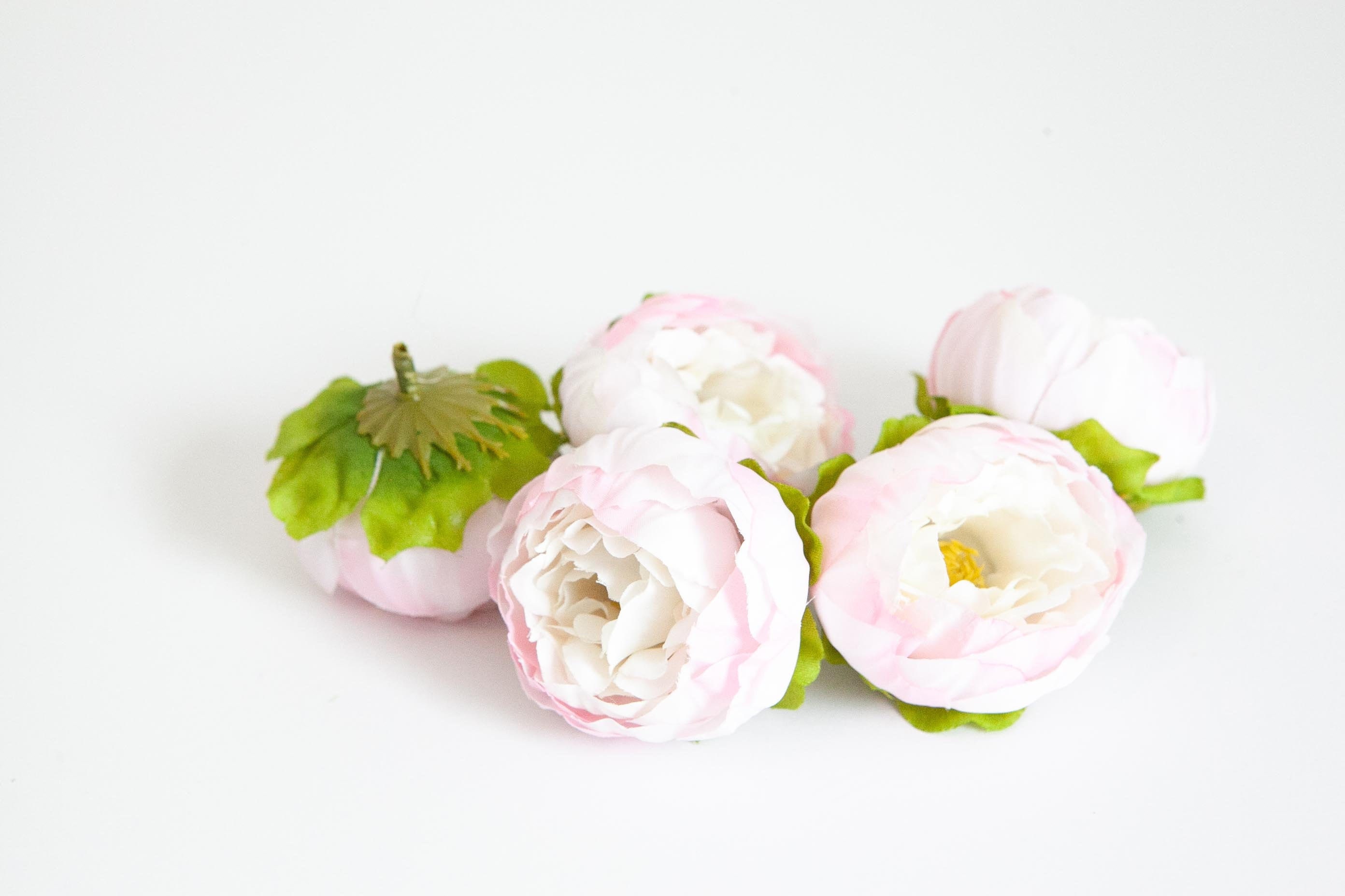 5 Small Mini Peonies in Pink and White Small Peonies - Etsy