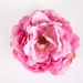 Peony Bombshell in Two Tone Pink 7 Inches Silk Flowers, Artificial ...