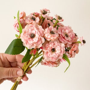Primroses One Bouquet Bunch of 36 Primrose Flowers on 6 Stems ...