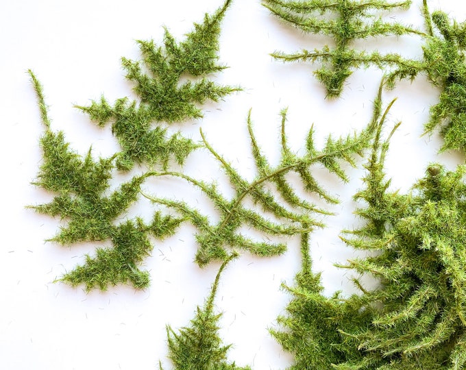 35 Large Boston Fern, Faux Fern Plant, Fake Fern, Wedding Greenery ...