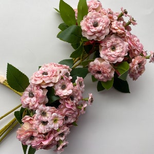 Primroses One Bouquet Bunch of 36 Primrose Flowers on 6 Stems ...