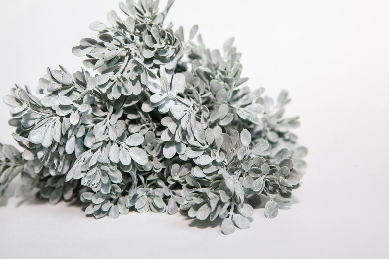 Boxwood Filler in Frosted Gray Green Artificial Filler - Etsy