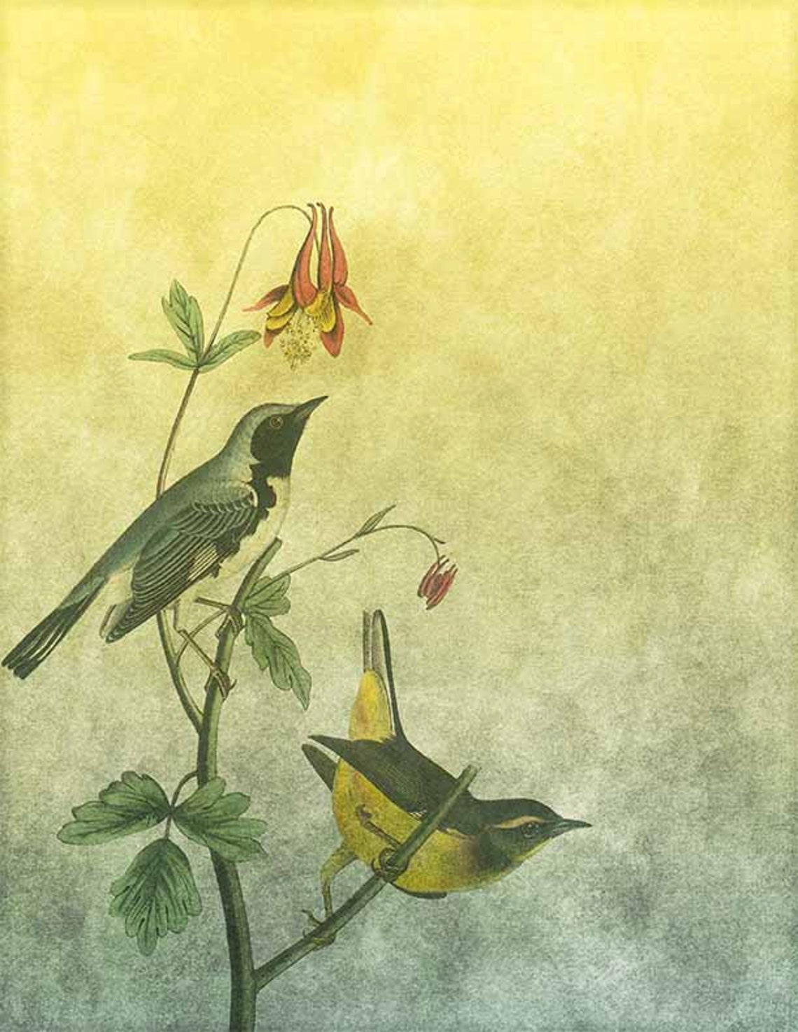 Distressed Vintage Birds Illustrations Digital Prints Instant Download ...