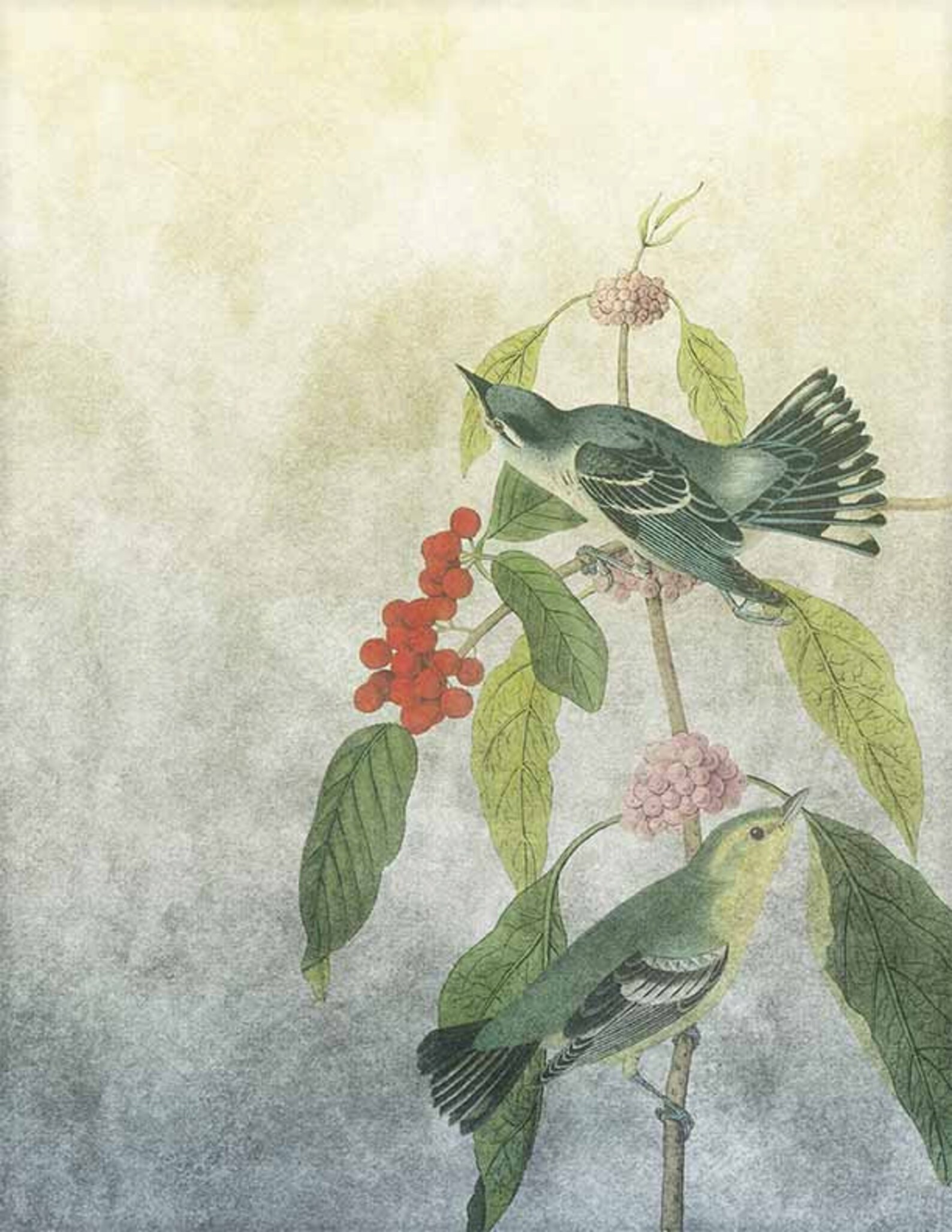 Distressed Vintage Birds Illustrations Digital Prints Instant Download ...