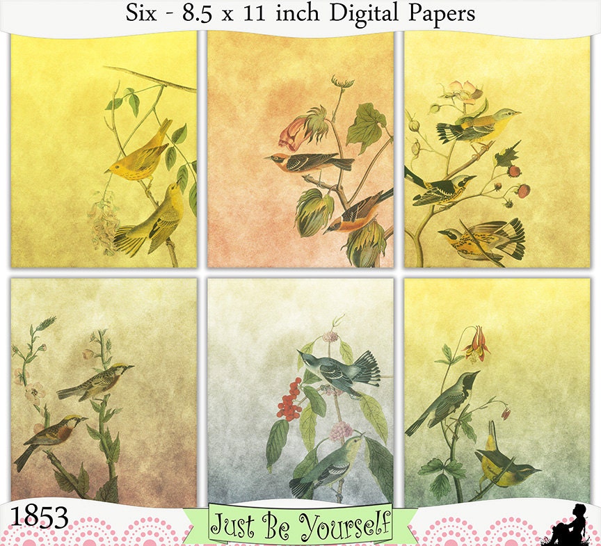Distressed Vintage Birds Illustrations Digital Prints Instant Download ...
