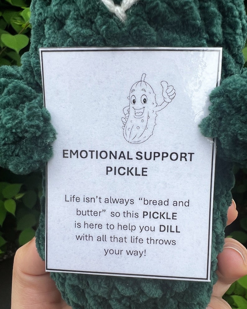 Emotional Support Pickle Positive Pickle - Etsy
