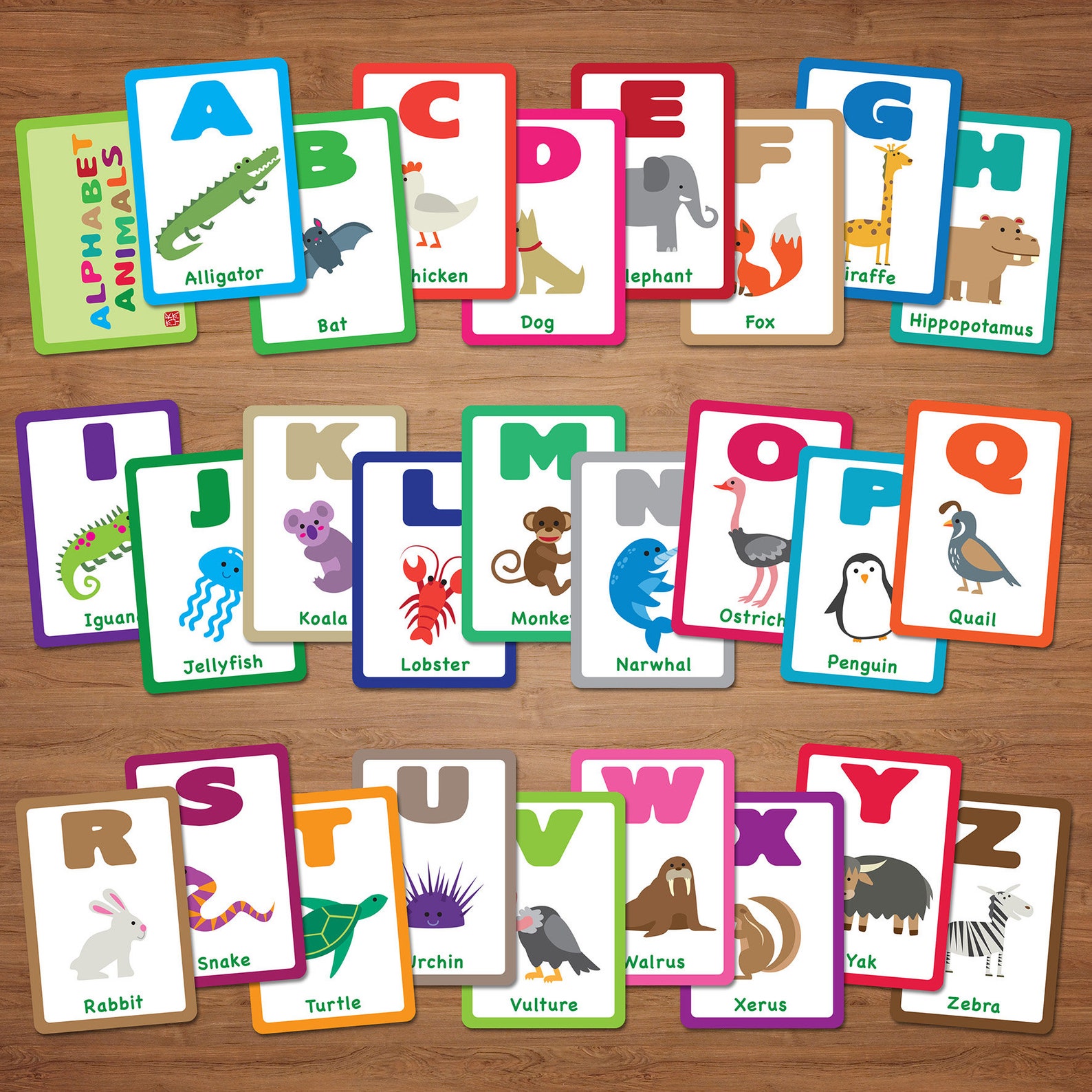 Flash Card ABC Kids School Activities Learning Alphabets Card Colorful ...