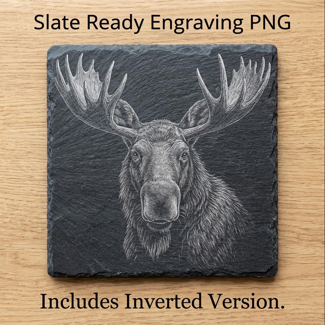 Moose Slate Engraving PNG Wildlife Laser File Animal Portrait Coaster ...