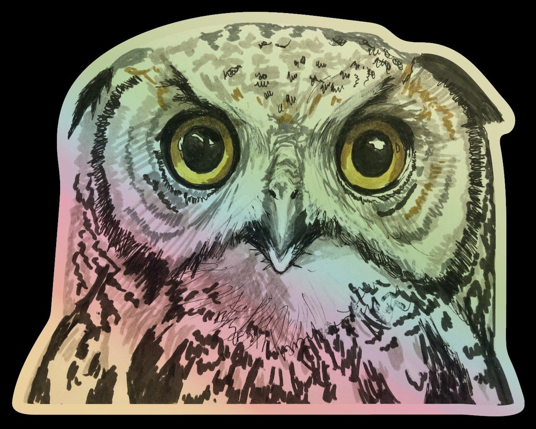 Owl a Holographic Vinyl Sticker - Etsy