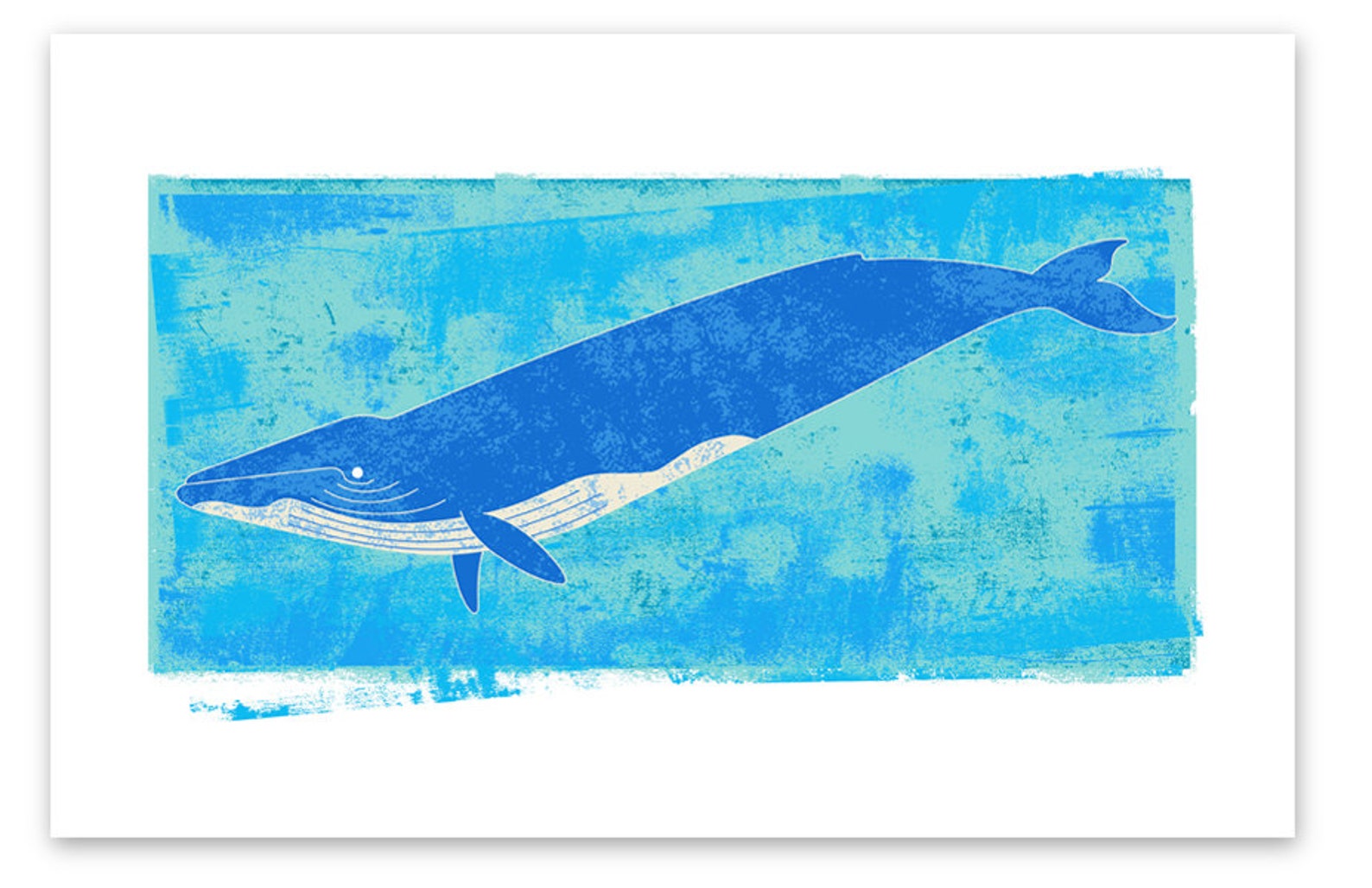 Blue Whale Graphic 11x17 Archival Matte Art Print From Whales Poster ...