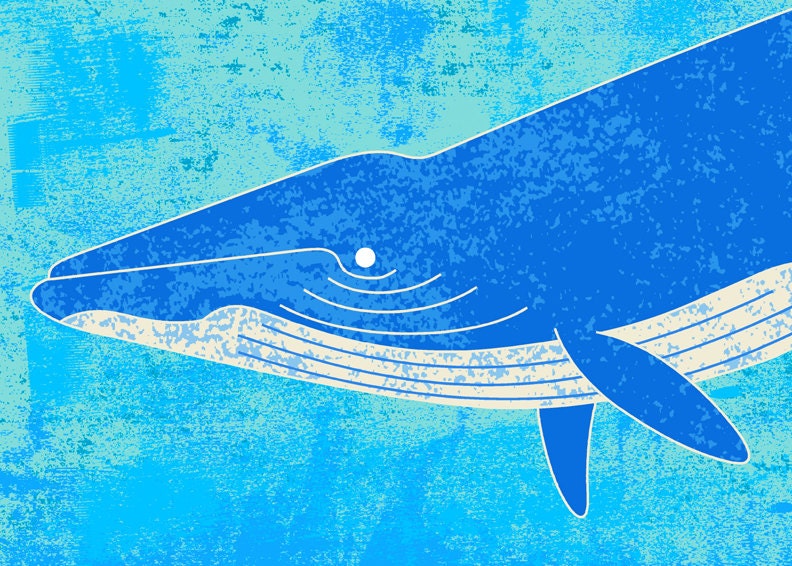 Blue Whale Graphic 11x17 Archival Matte Art Print From Whales Poster ...