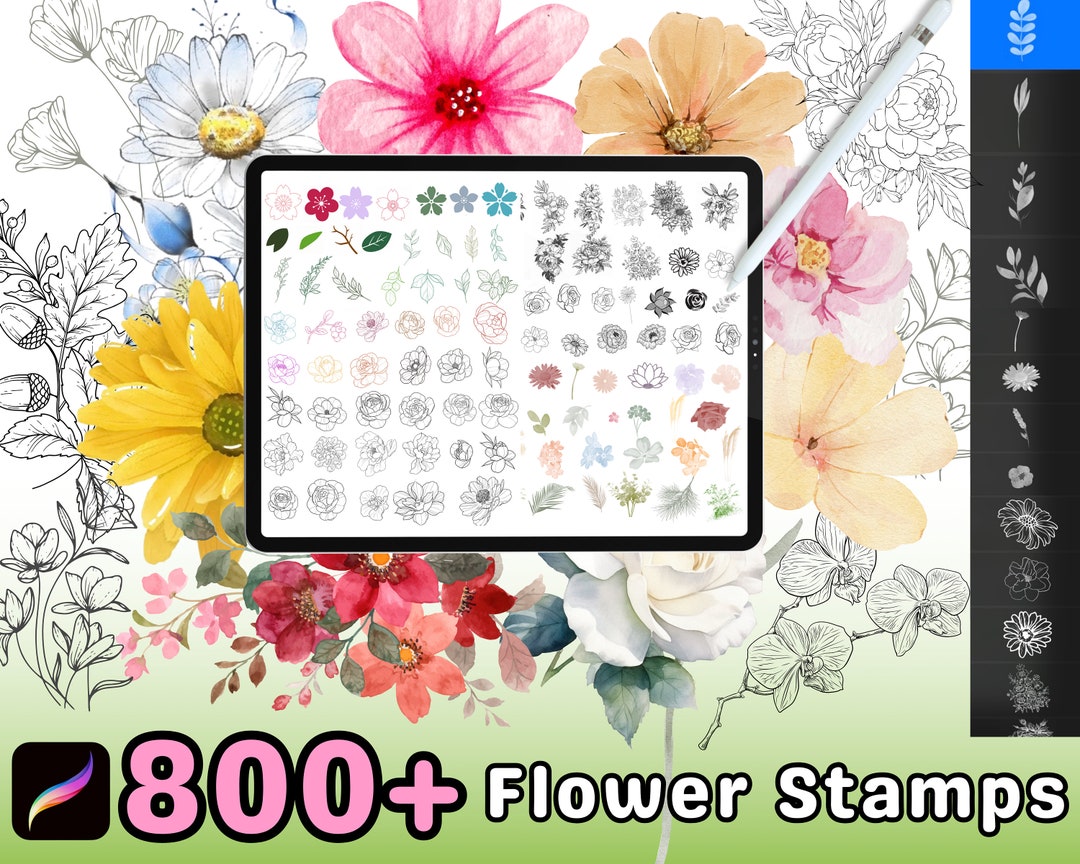 800+ Procreate Flower Stamps, Procreate Botanical Stamps, Procreate Tattoo Stamps, Procreate ...