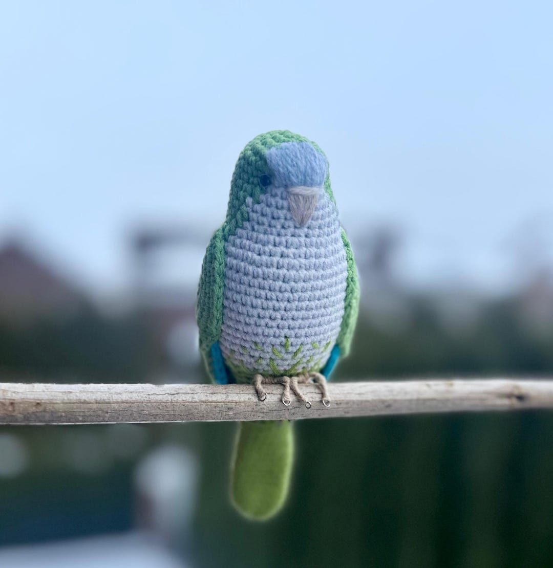 Quaker Parakeet 7 Inch Stuffed Animal Plush Toy Monk Bird Souvenir - Etsy