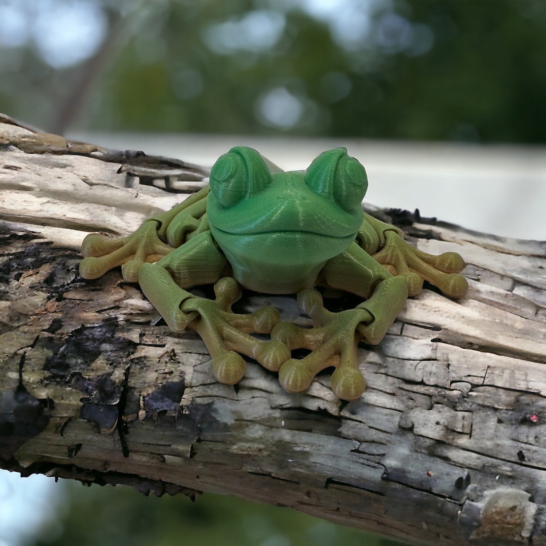 Frog flexy - Etsy
