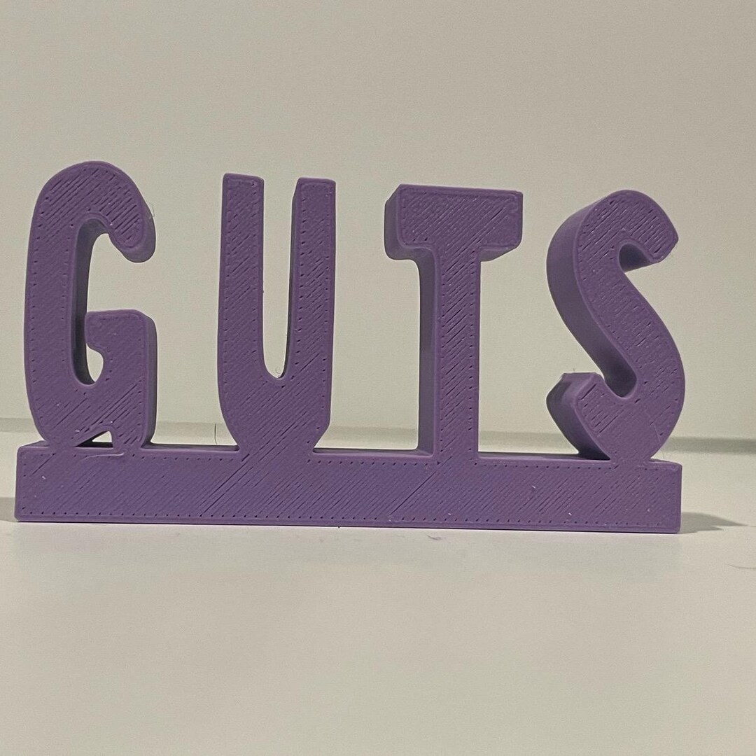 GUTS Vinyl Charm for Your Record Player or Display Area Olivia - Etsy
