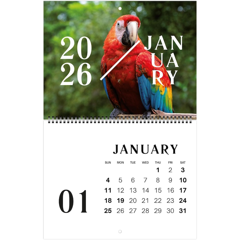 The Amazon Calendar 2026 – Wildlife & Rainforest Animals Wall Calendar ...