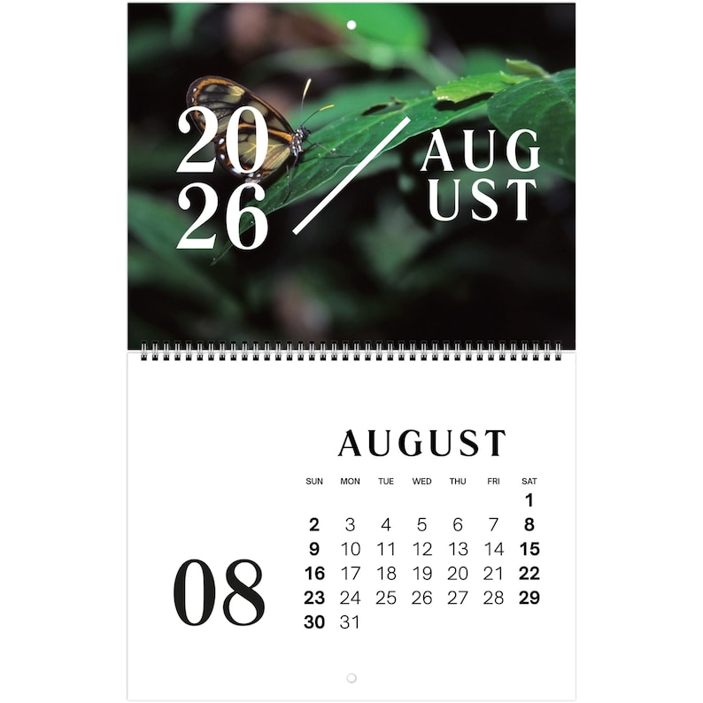 The Amazon Calendar 2026 – Wildlife & Rainforest Animals Wall Calendar ...