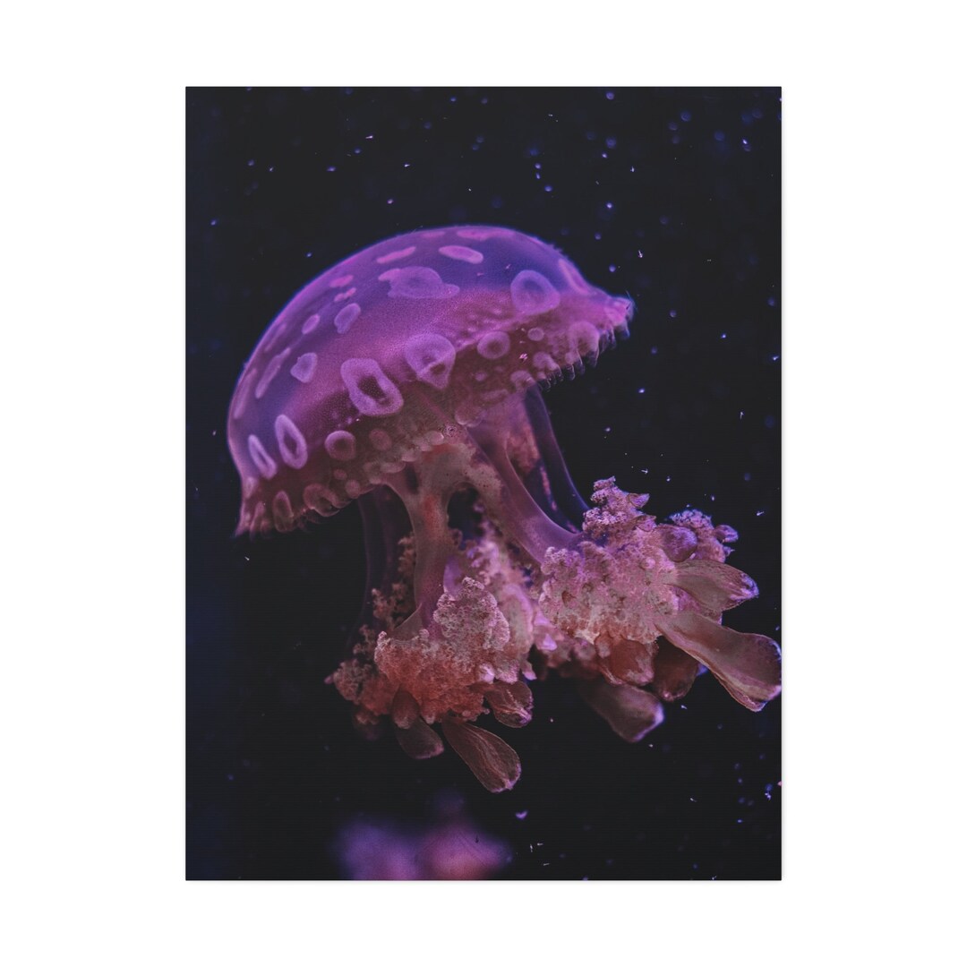 Canvas Stretched, 1.5'' - Jelly Fish - Etsy