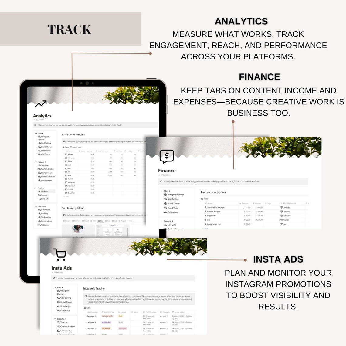 Notion Template Instagram Planner, Notion Planner, Social Media Planner ...
