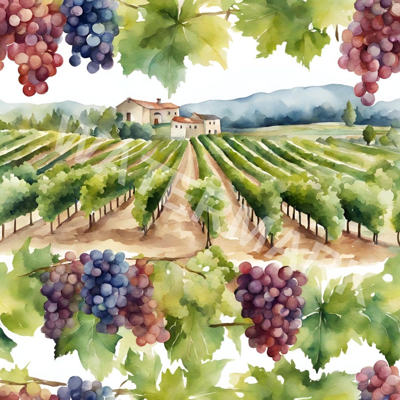 Wineyard Watercolour Clipart, 10 JPEG Images, Digital Download, - Etsy