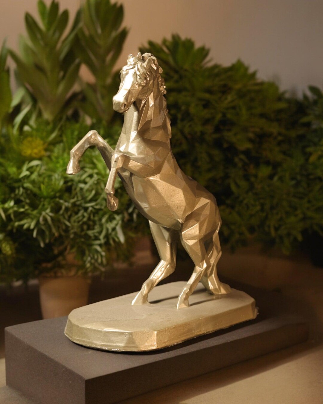 Horse Standing on Two Feet - Etsy