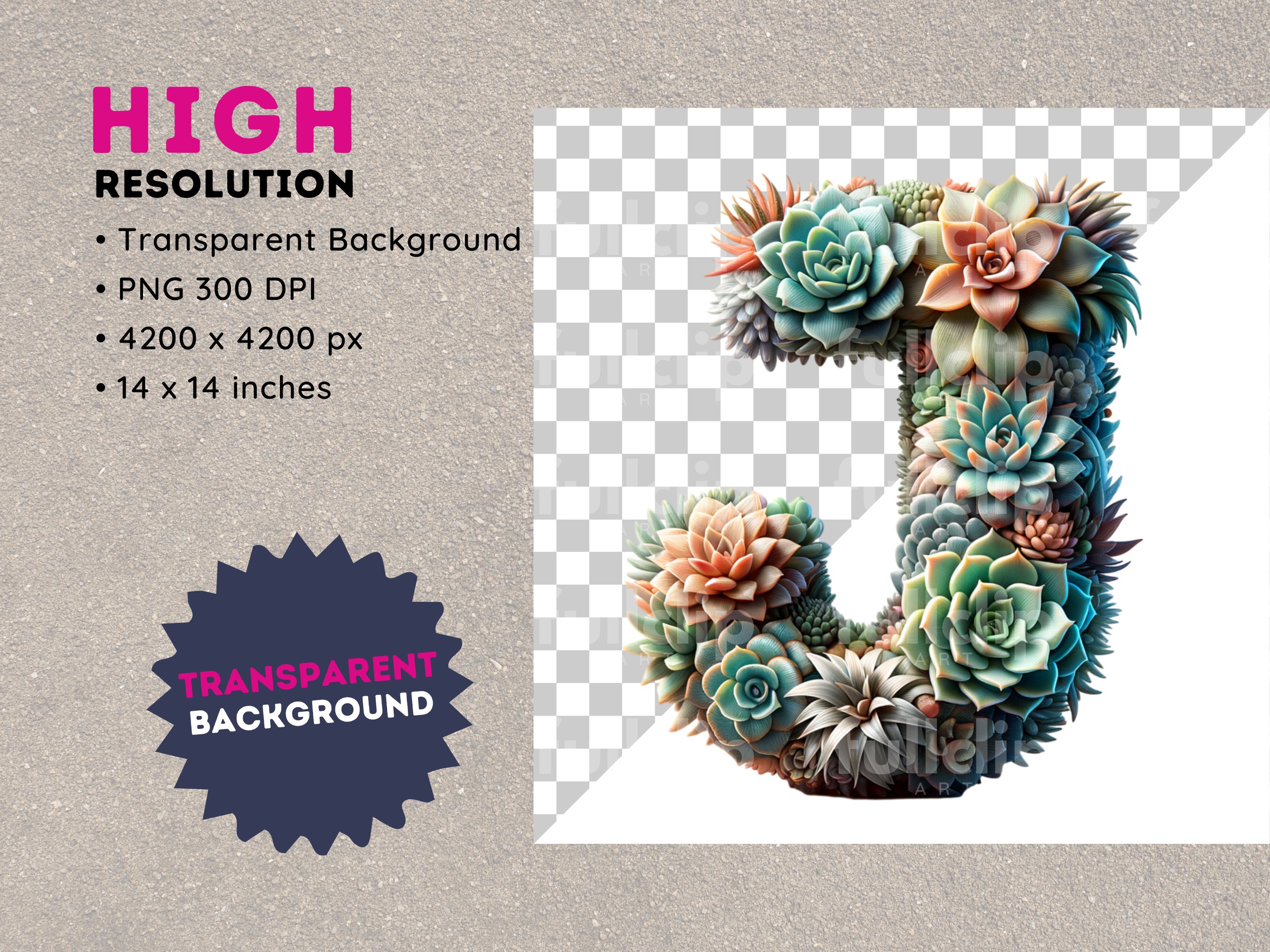 Succulent Alphabet Clipart Bundle, Succulent Letters, Gardening Clipart ...