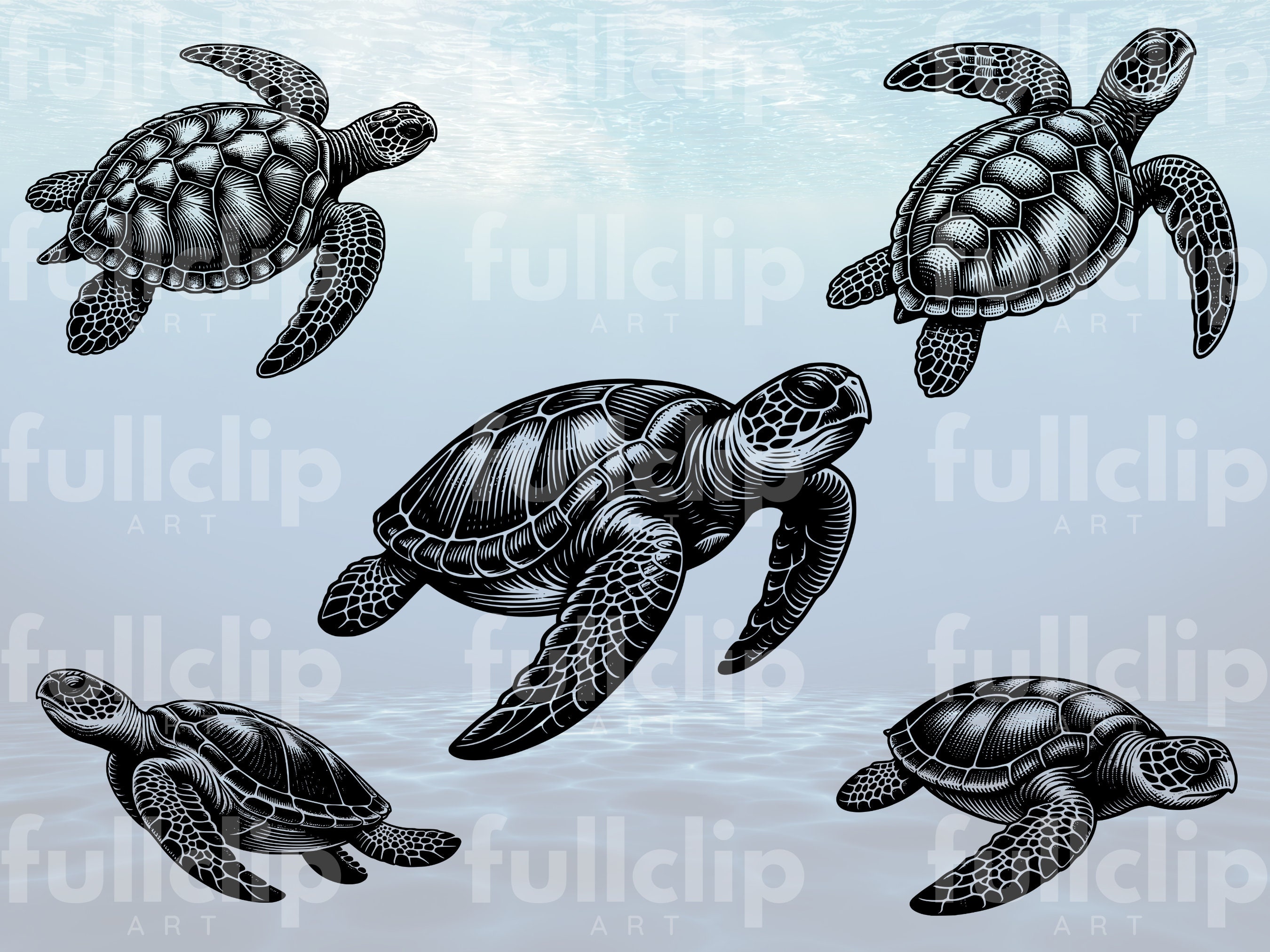 Sea Turtle Clipart Bundle, Sea Turtle SVG, Sea Turtle PNG, Sea Turtle ...