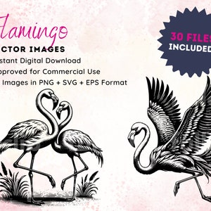 Flamingo Clipart Bundle, Flamingo SVG, Flamingo PNG, Flamingos Clipart ...