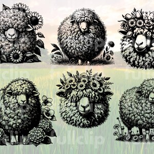 Shaggy Sheep Clipart Bundle, Sheep SVG, Sheep PNG, Sheep Clipart, Sheep ...