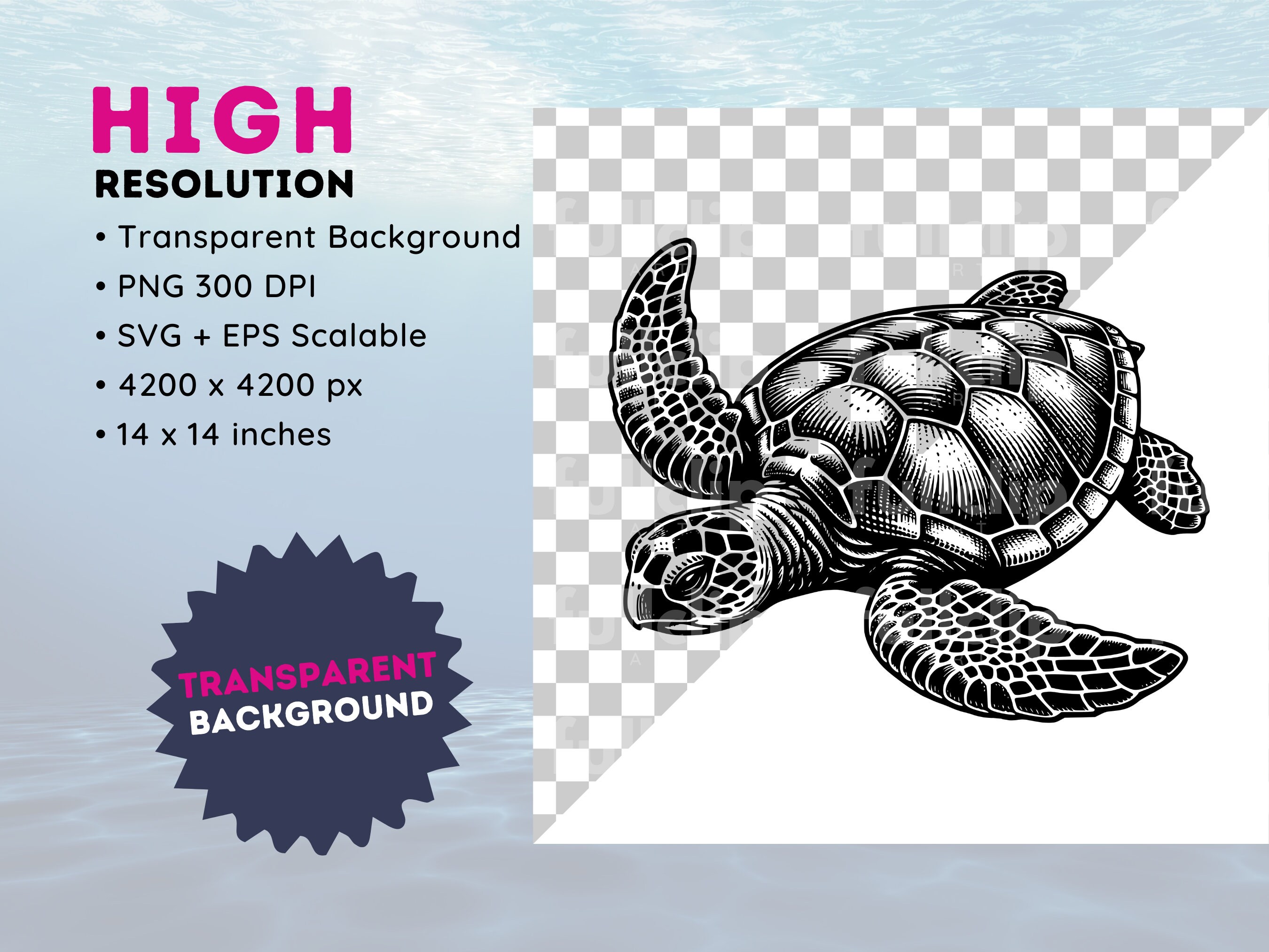Sea Turtle Clipart Bundle, Sea Turtle SVG, Sea Turtle PNG, Sea Turtle ...