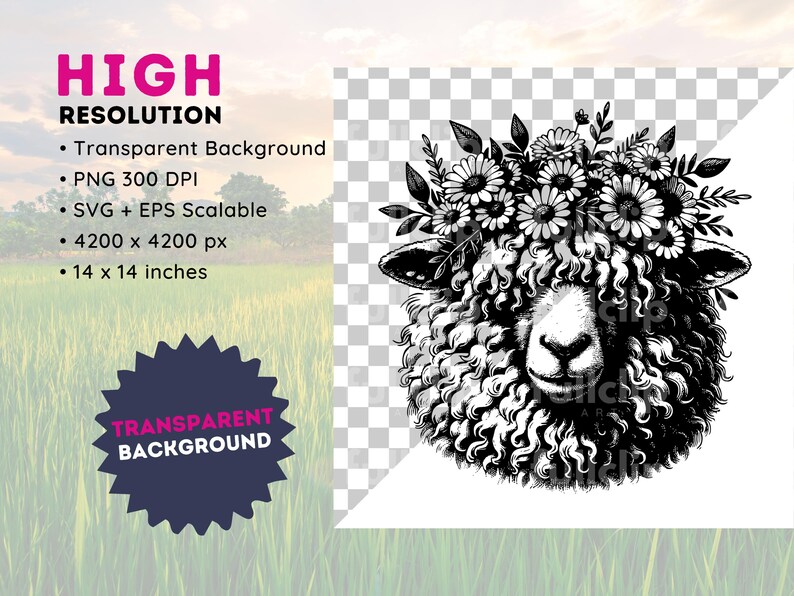 Shaggy Sheep Clipart Bundle, Sheep SVG, Sheep PNG, Sheep Clipart, Sheep ...