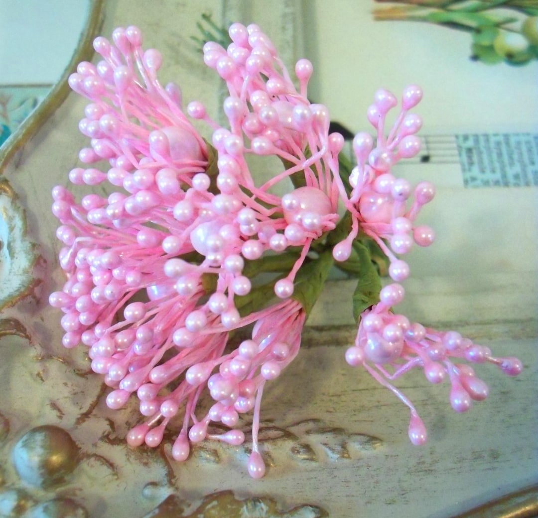 Vintage Millinery / Floral Pips-peps Flower Centers / Pearlized Pink ...