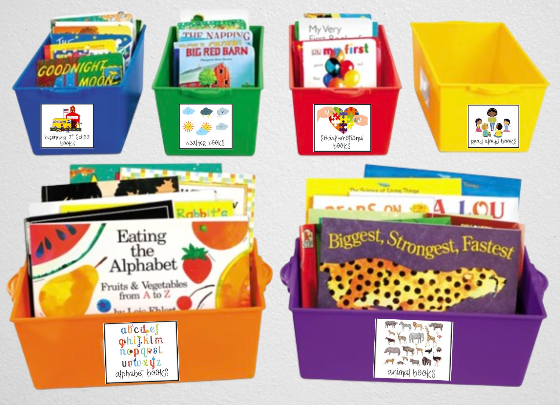 Classroom Book Bin Labels, Classroom Organization, Book Organization ...