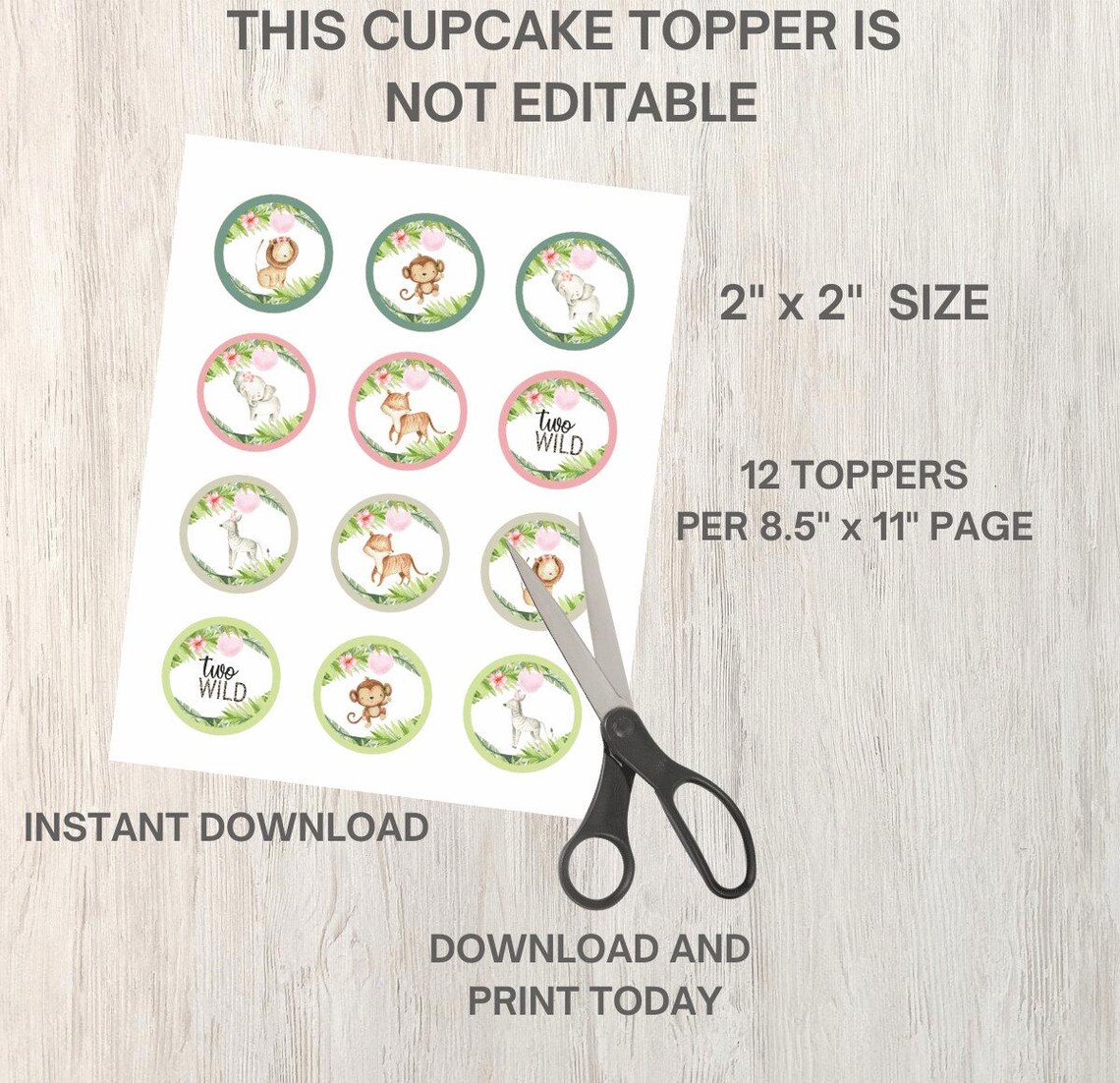 Jungle Two Wild Cupcake Toppers Jungle Girl Birthday Party Cupcake ...