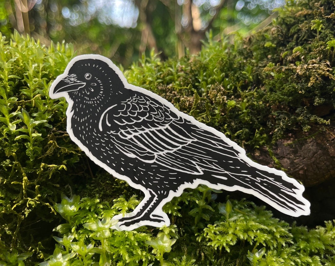 Raven - Vinyl Sticker - Free Domestic Shipping - Etsy