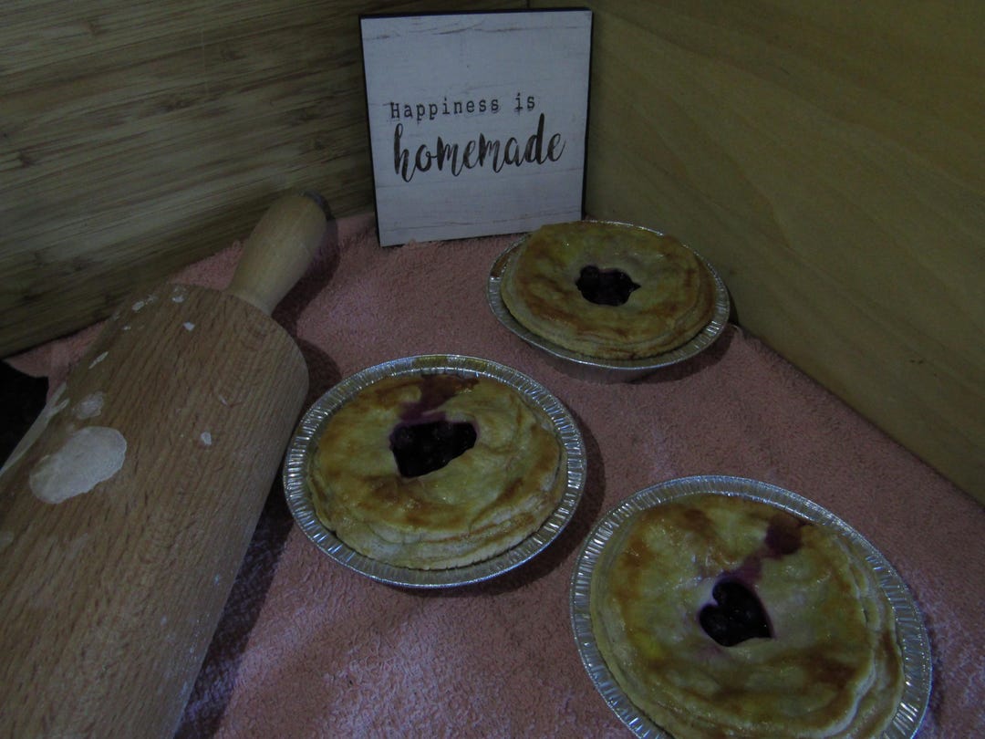 5 Inch 5 Dollar Minnie Blueberry Pies - Etsy