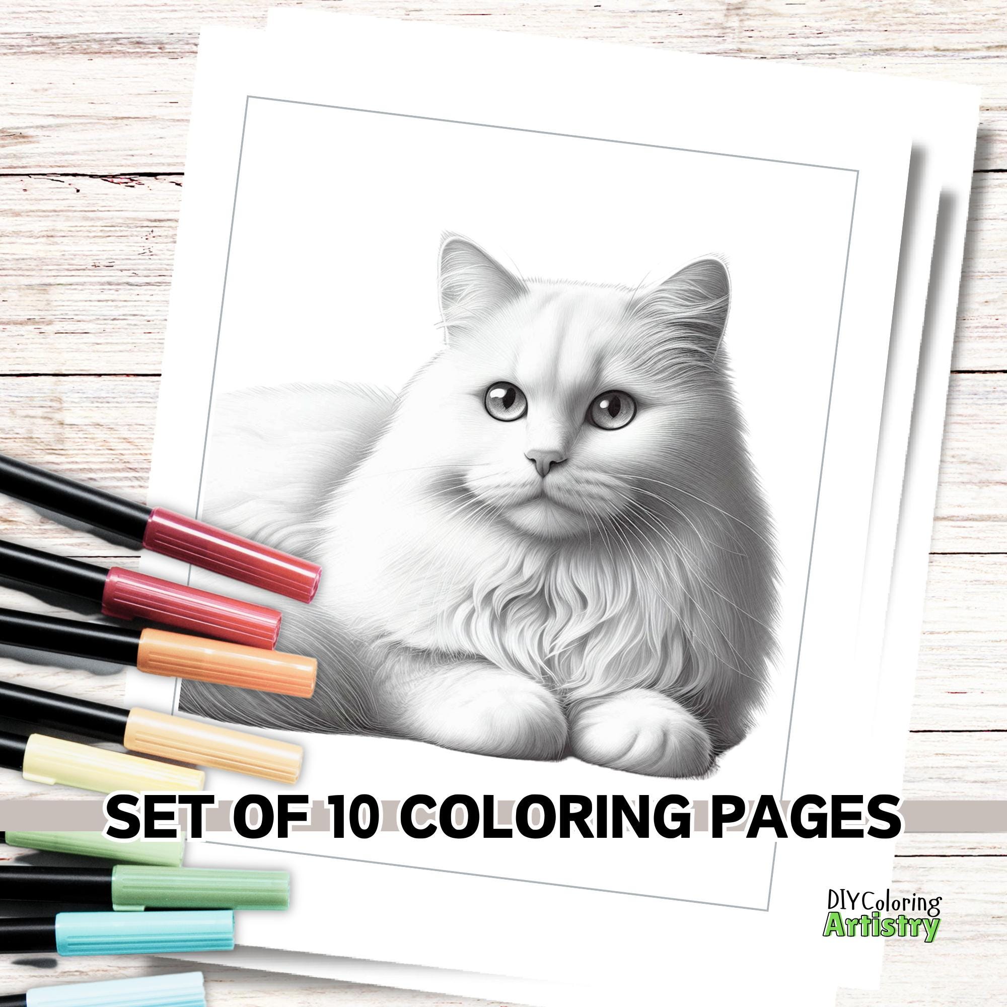 Fluffy Cats Coloring Pages for Adults Relaxing Greyscale Designs for ...