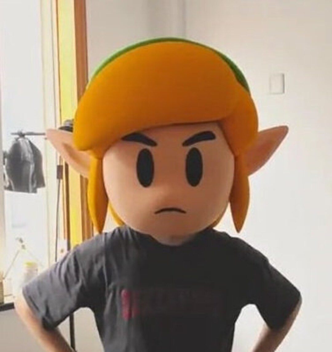 Legend of Zelda Link's Awakening 3D Printed Custom Mask Hat Cosplay ...