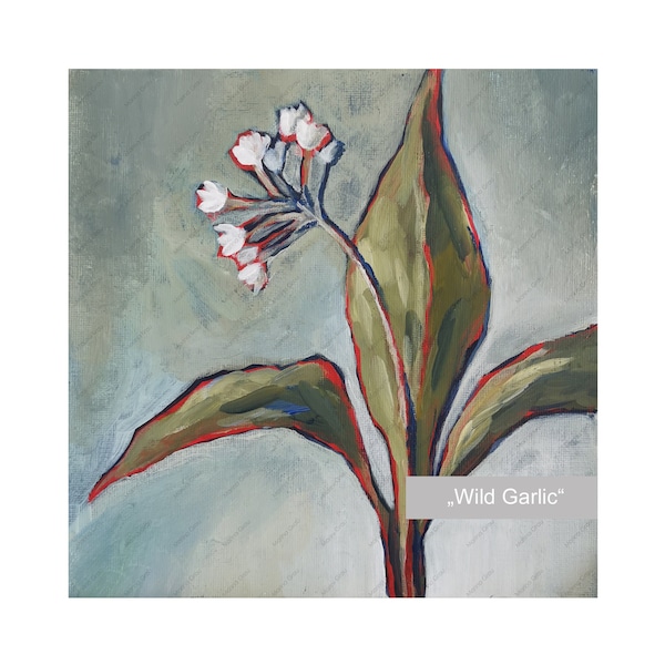 Wild Garlic - Etsy