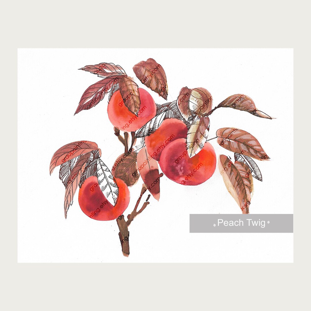 Peach Twig Watercolor Painting, Hand Drawn Original, Watercolour ...